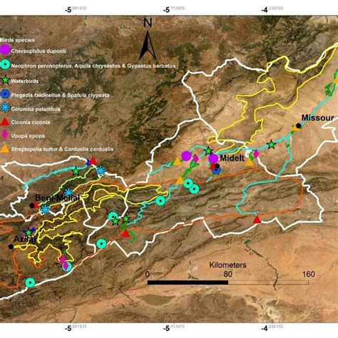 Diversity Of Ecosystems And The Occurrence Location Of Avian Species Download Scientific Diagram
