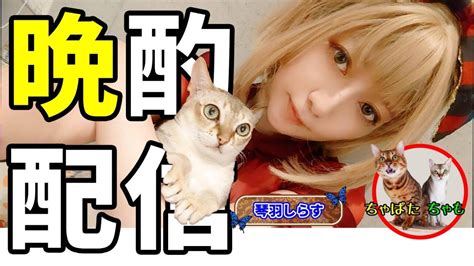 今週の雑談 YouTube