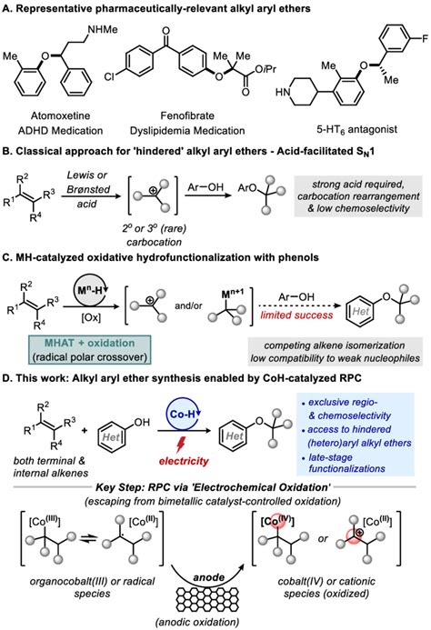 Synthetic Approaches To Hindered Alkyl Aryl Ethers Download Scientific Diagram