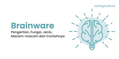 Brainware Adalah Pengertian Fungsi Jenis Dan Contohnya