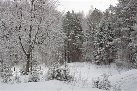 Photos 140160508 N08 Shares Kv48kg Igor Plastovs Photos