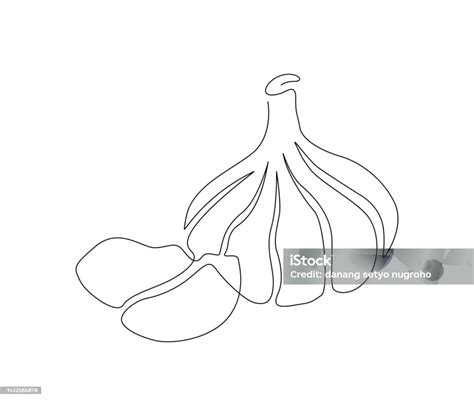 신선한 Ornanic 마늘의 연속 라인 아트 드로잉 농장 사업 개념을위한 전체 건강한 유기농 마늘의 라인 아트 드로잉 개념에 대한 스톡 벡터 아트 및 기타 이미지 Istock