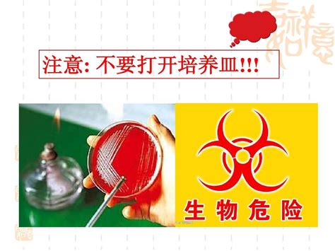 实验二 细菌的生理、消毒、灭菌 Word文档在线阅读与下载 免费文档