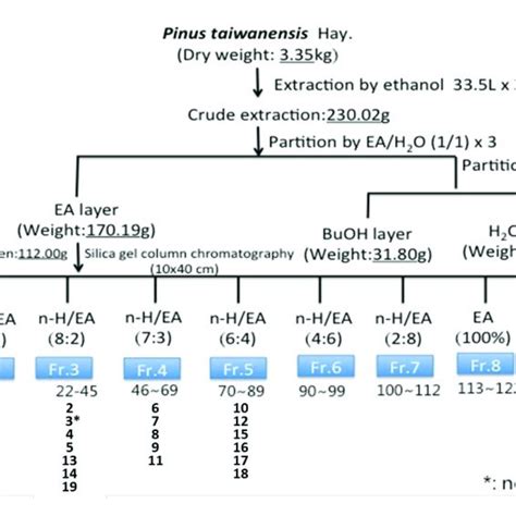 Flow Diagram Of Bioassay Guided Procedure Bioassay Guided