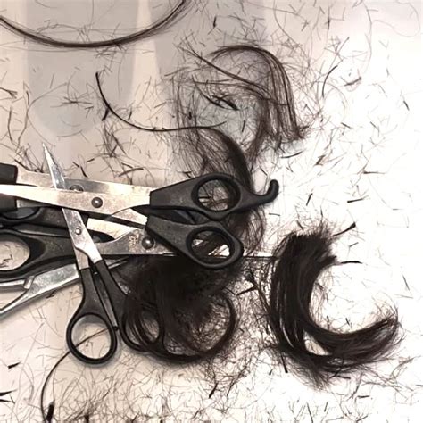 Milo Discover 330 Milo Hansen 🇮🇸🇩🇪🇺🇸 🏳️‍⚧️ Ideas Hansen Midwest Emo And More