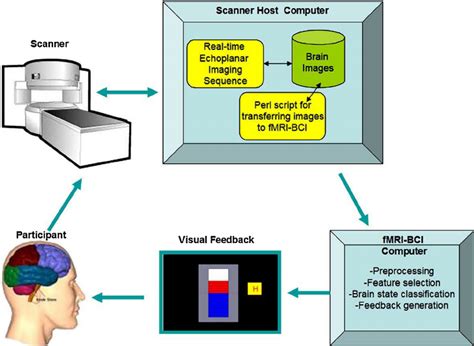 A Real Time Fmri Brain State Classification System The Real Time Fmri Download Scientific