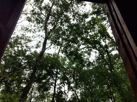 Scroll Air Compressor An Overview China Screw Jack Manufacturer And Supplier Exporter