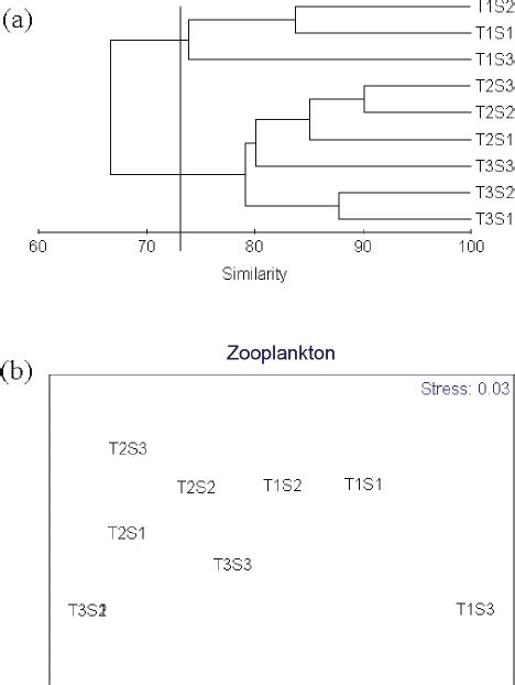 Cluster A And Non Metric Multidimensional Scaling Nmds B Analysis
