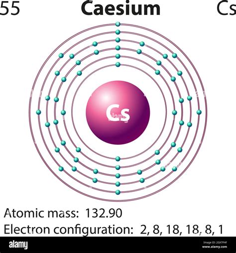 Symbol And Electron Diagram For Caesium Stock Vector Image And Art Alamy