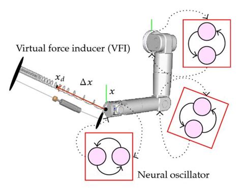 Schematic Robot Arm Control Model Coupled With Neural Oscillators Download Scientific Diagram