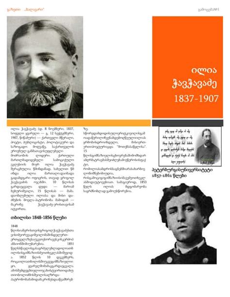 ილია და საქართველო გაზეთი Docx