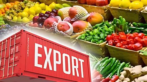 Exports Restrictions To Drag Indias Agricultural Exports