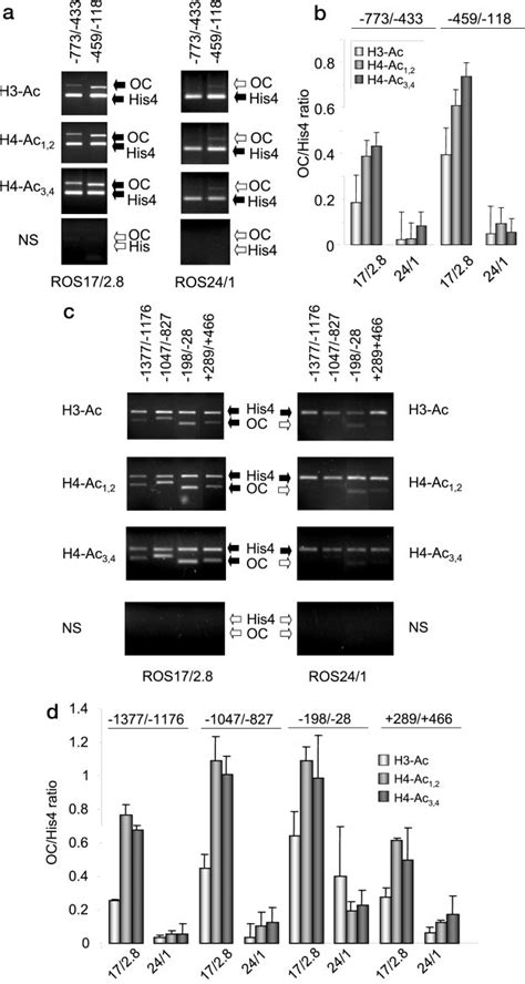 reduced levels of histones h3 and h4 acetylation at the oc locus in