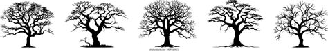 Tree Cad Top View Images Stock Photos D Objects Vectors Shutterstock