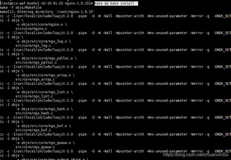 Nginx Lua Lua Nginx Module构建web应用防火墙（waf）lua Nginx Module 01010 Csdn博客
