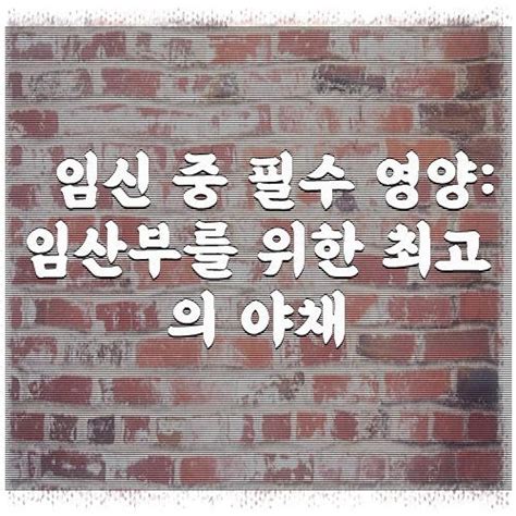 임신 중 필수 영양 임산부를 위한 최고의 야채