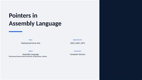 Pointersinassemblylanguage By Alipptx