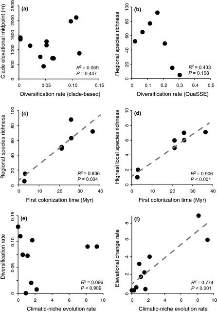 Relationship Between Diversification Rate Clade Based Method