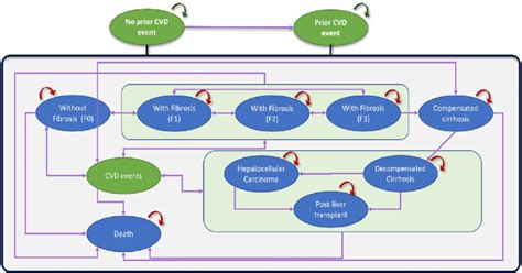 Markov Model Structure Cvd Cardiovascular Disease F Fibrosis Download Scientific Diagram