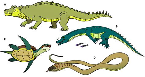 Speculative Reptiles Ii By Alfecha On Deviantart