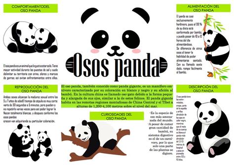 Pin De Upem DiseÑo GrÁfico En InfografÍas Pandas Infografia De