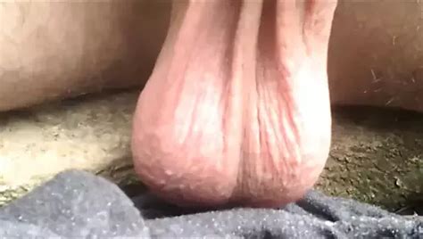 Big Balls Contracting And Dripping Tons Of Pre Cum Gay Man Porn Xhamster