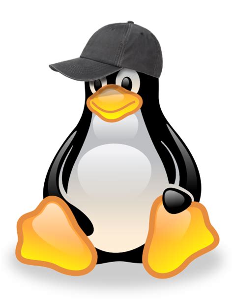 Benutzer Mit Sudo Rechten Unter Debianubuntu Anlegen Miclinux