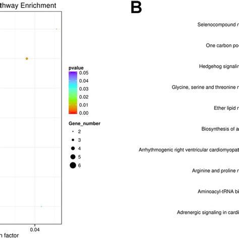 Kegg Pathway Enrichment Analysis Of The Cis Regulated Target Genes A Download Scientific