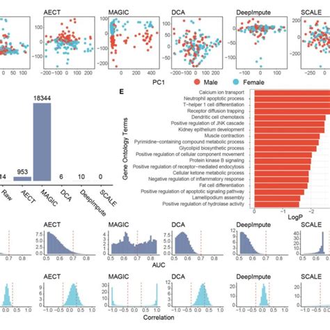 Imputation Performance Of Aect And Other Algorithms On Rectal Cancer Download Scientific