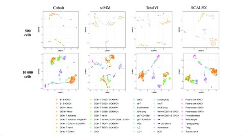 Umap Of The 10 Dimensional Latent Space Of Cobolt Scmm Totalvi And Download Scientific