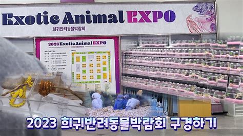 박람회 못가신분들 이거 보시면 돼요 ฅ•ﻌ•ฅ 저랑 같이 구경하세요🐍 Youtube