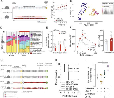 Modeling Compounding Maternal Risk Factors Results In An Adverse Download Scientific Diagram