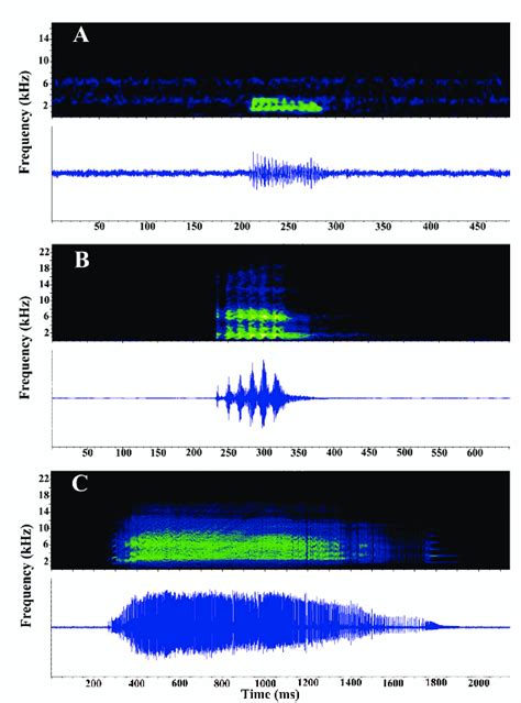 Waveform Above And Spectrogram Below Of Three Warning Calls From