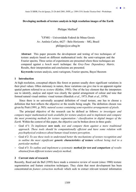 Developing Methods Of Texture Analysis In High Resolution Images Of