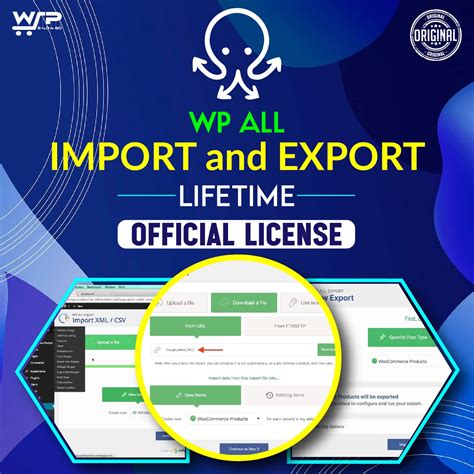 Wp All Import And Export Plugin