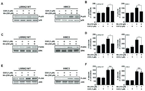 Inhibition Of Lrrk2 Kinase Activity Attenuates Mn Induced Mapk P38 And