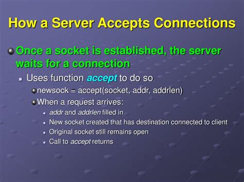 PPT The Socket Interface PowerPoint Presentation Free Download ID