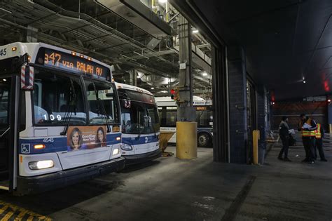 Aggressive Raccoons Have Invaded Mta Bus Depots