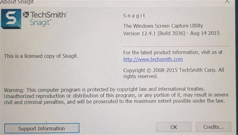 Snagit Version 12 Wellstashok