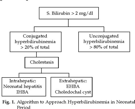 Liver Function Test Interpretation Table Decoration Examples