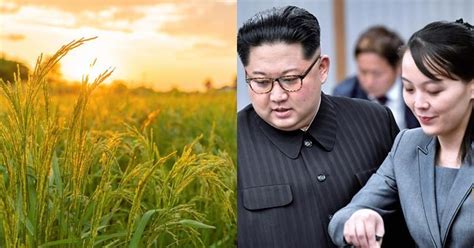 “북한 식량난 100만 명 아사한 90년대 대기근 이후 최악” 위키트리