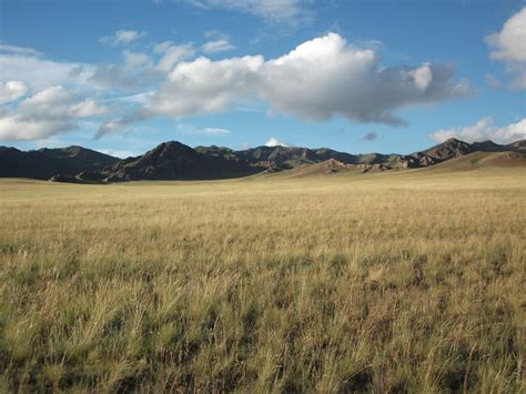 Зураг 001 ~ Баянтэс сум