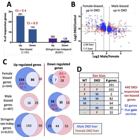Sex Biased Genetic Programs In Liver Metabolism And Liver Fibrosis Are