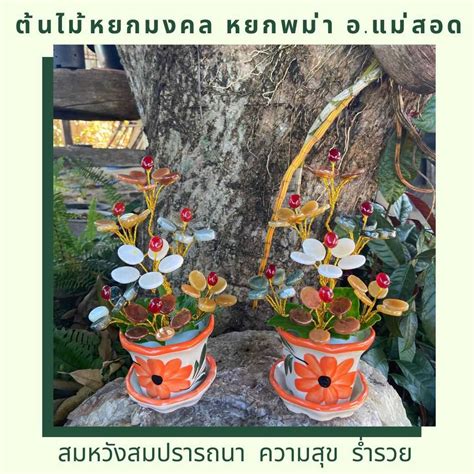 ต้นทอง หยก 5สี รุ่นสมปรารถนาร่ำรวย ต้นไม้หยกมงคล หยกพม่าส่งฟรี แถมกำไลหยก Line Shopping
