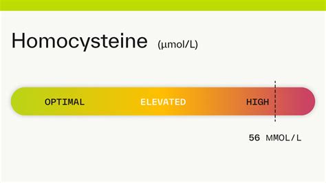 Blood Test Abbreviation For Homocysteine At Christopher Bryant Blog