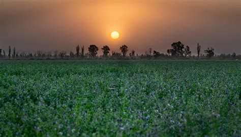 강 자연 마른 나무 일몰 풍경 물 푸른 옥외 반사 하늘 공원 여행 수평 아름다운 숲 호수 배경 환경 벽지 사막 바위 경치 아름다움 잔디 평온한 파노라마 사진 날씨 목가적