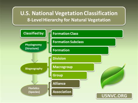 Adaptable Ecology Based Us National Vegetation Classification For Monitoring Multi Scale