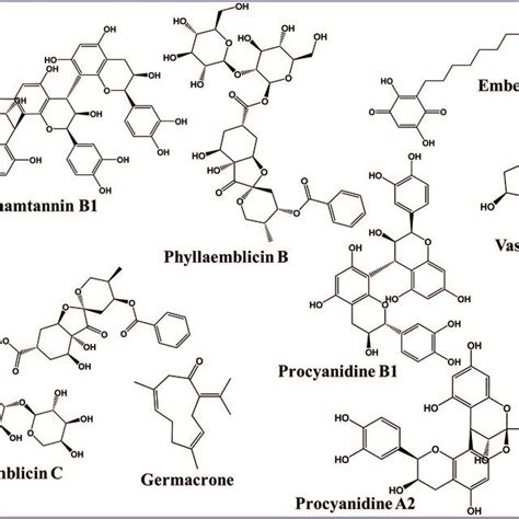 Chemical Structure Of Bioactive Phytochemicals From Different Medicinal