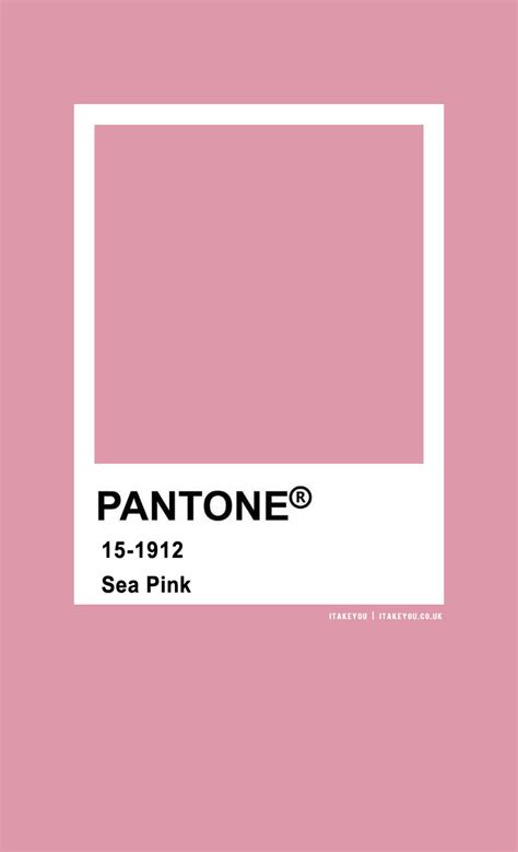 Pantone Color Pantone Sea Pink Pantone Pink Pantone Colour Porn Sex