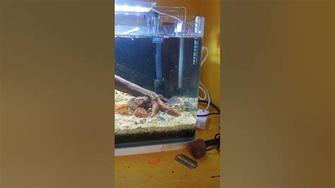 Day 3 30 Day3 30dayschallenge Youtube